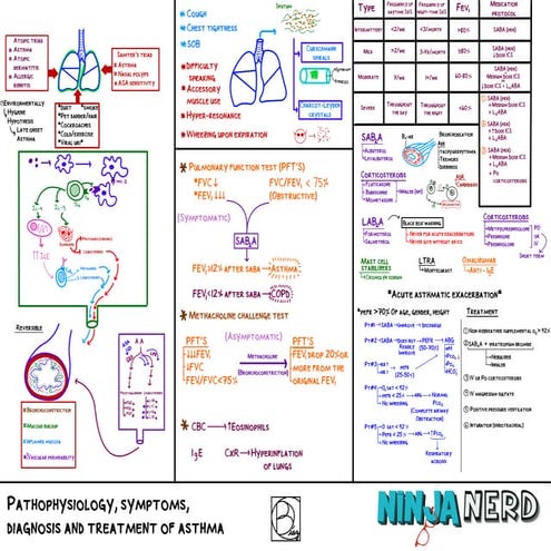 Asthma.pdf medicine ninja nerd flow chart | PPT