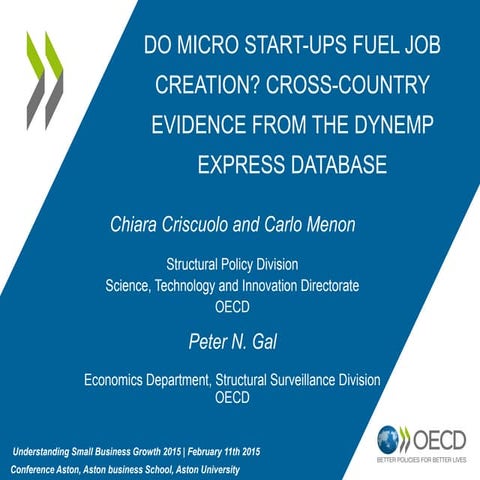 Job Dynamics: New International Evidence. Carlo Menon. ERC ...