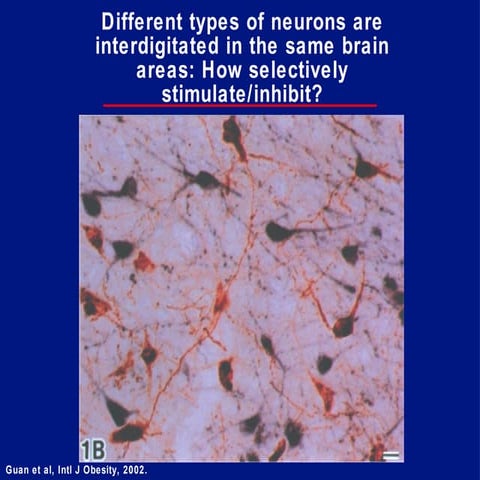 Therapeutic Potential of Designer Receptors, Gary Aston-Jones, PhD | PPT