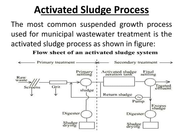 Activated Sludge Process.pptx By Vikrant Sir | PPTX