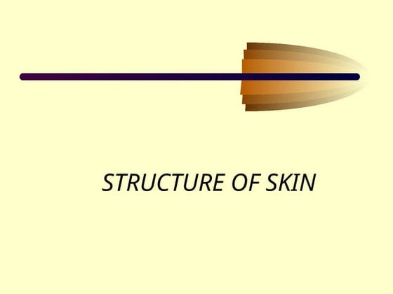 Structure and functions of the skin | PPT