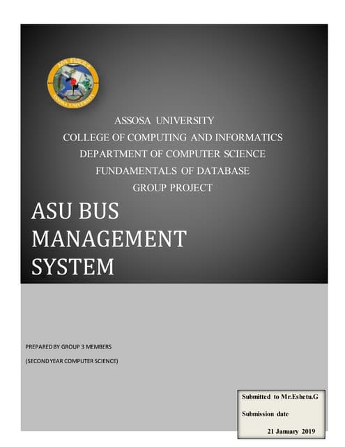 Systems Analysis and Design | Final Project | PDF | IT and Internet Support | Internet