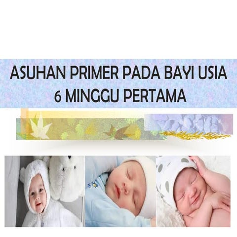 Asuhan kebidanan kepada bayi 6 minggu setelah lahir.pdf