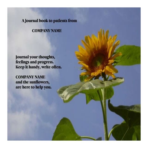 A Sunflower Story | PPT