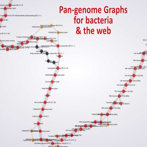Pan-genome Graphs biodata14 | PPTX