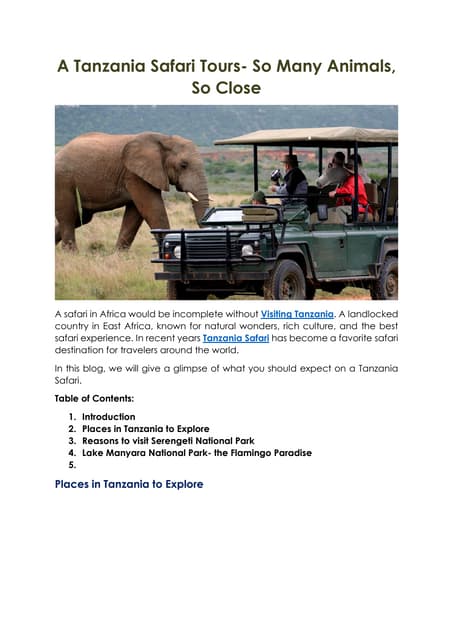 Masai Mara Serengeti National park safari | PDF
