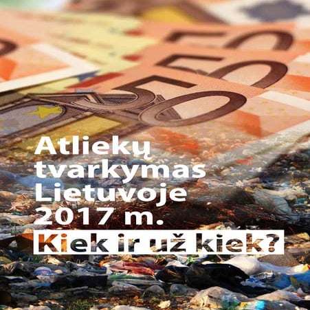 Ataskaita 2017 m. | PDF