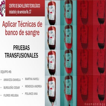 e-Delphyn programa para banco de sangre.pptx