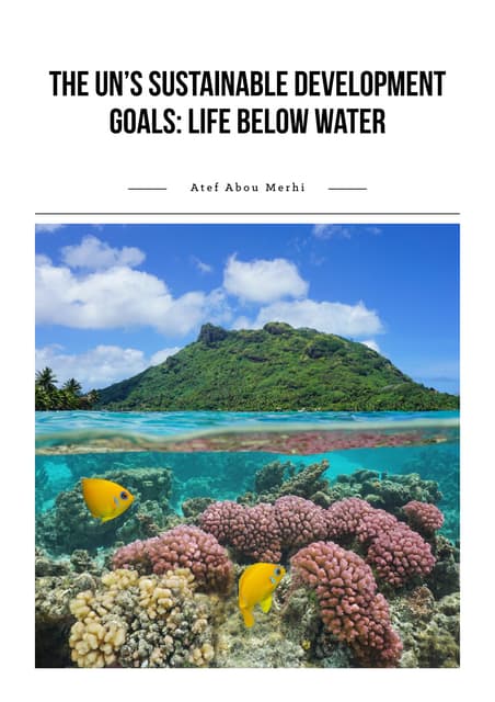 SDG Goal 14 | PPTX | Geography | Science