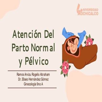 Atencion del parto normal y pelvico (maniobras especiales)1[1].potx