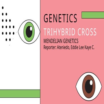 trihybrid cross (Genetics report).pptx