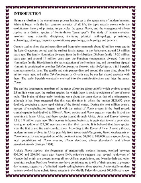 Essay On Human Evolution | PDF | Biological Sciences | Science