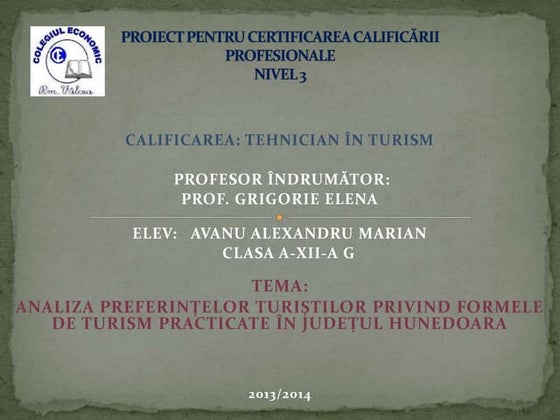 Avanu Alexandru Marian Oltenia | PDF