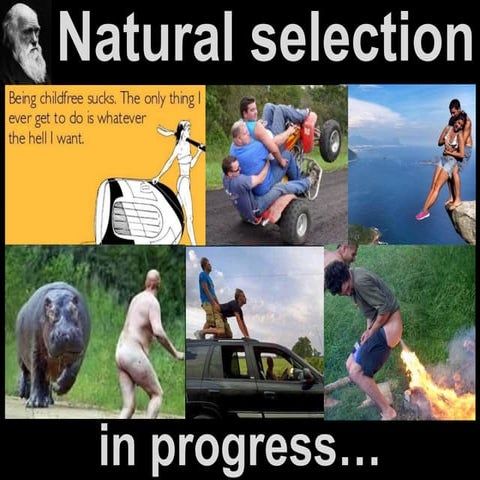 Atheism 4 atheists: Natural selection in progress… | PPT