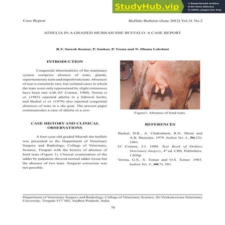Athelia In A Graded Murrah She Buffalo A Case Report | PDF