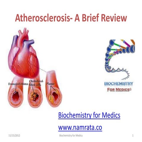 Atherosclerosis | PDF | Heart and Cardiovascular Diseases | Diseases ...