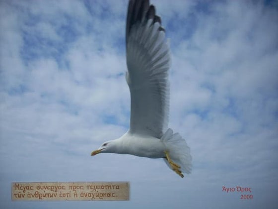 Koerantberig Top 20 | PDF