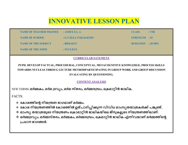 Innovative lesson plan | DOCX