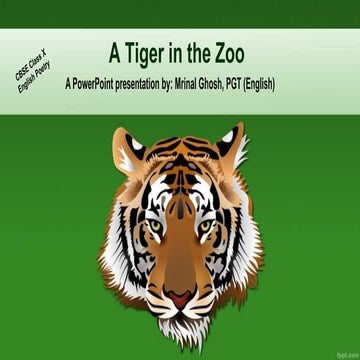 A tiger in the Zoo | PPT