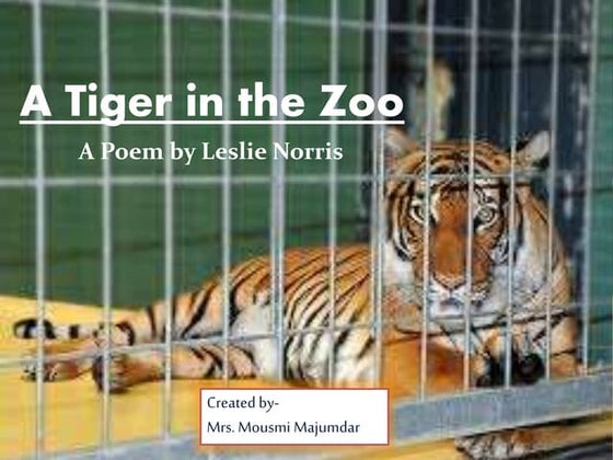 A tiger in the zoo poem presentation | PPT