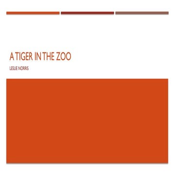 Class 10 NCERT A Tiger in the Zoo - PPT.pptx