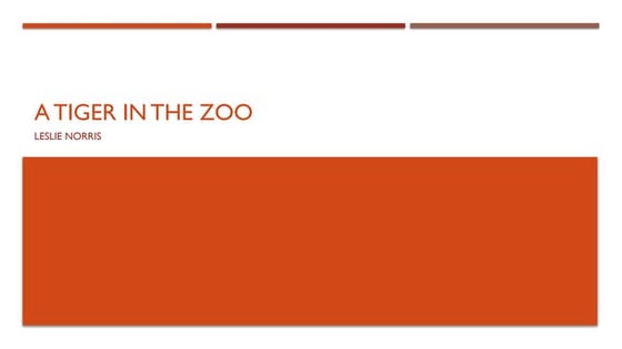 A tiger in the Zoo | PPT