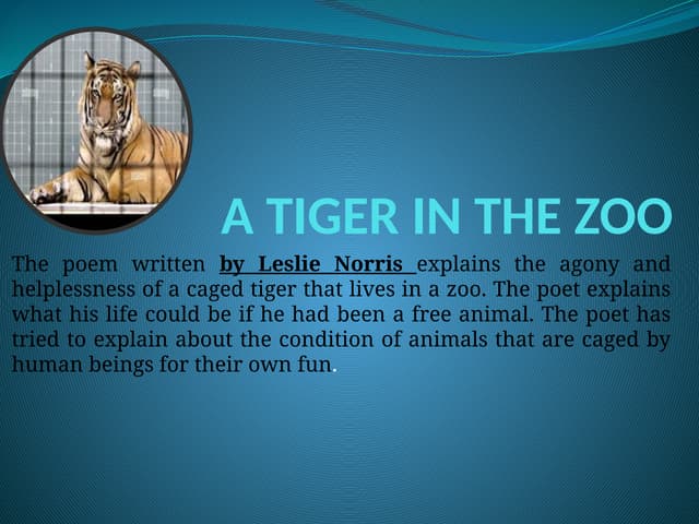 Tiger in the menagerie | PPTX