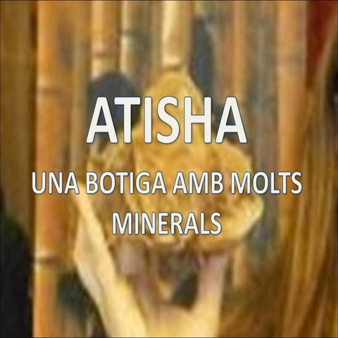 Atisha | PPT