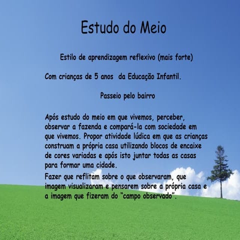 Heterogeneidade e diversificação de atividades | PPTX