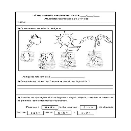 Atividade de ciencias germinação | PDF