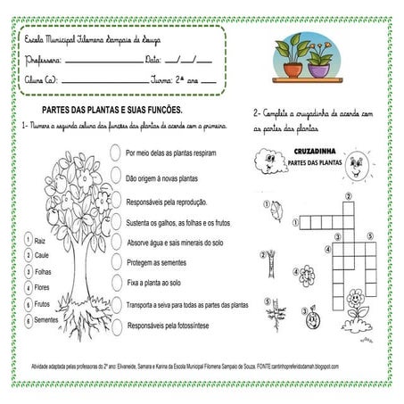 Atividade de ciências - plantas 2º ano.pdf