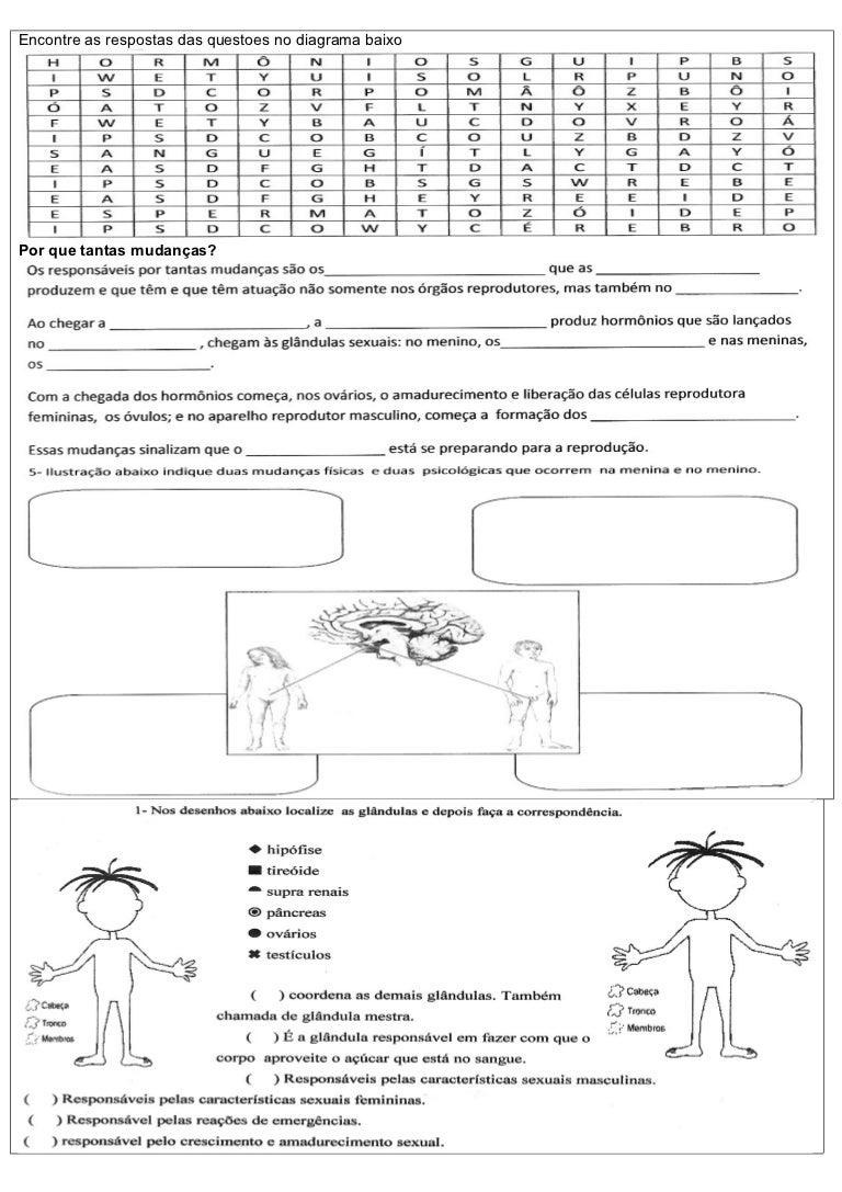 Atividades de ciencias sexualidade