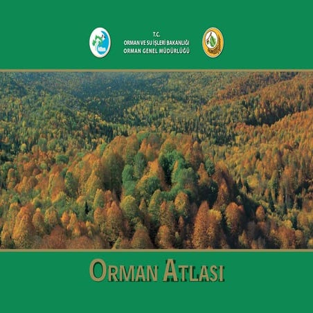 Turkish Forest Atlas- Detailed Information about Tree Types | PDF