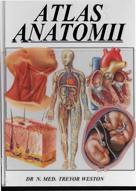 Podstawy anatomii i fizjologii człowieka | PDF