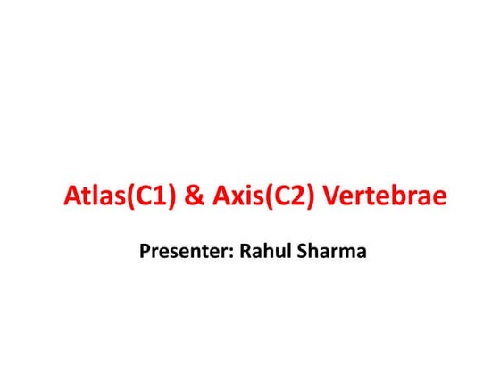 Anatomy of the Skull | PPT