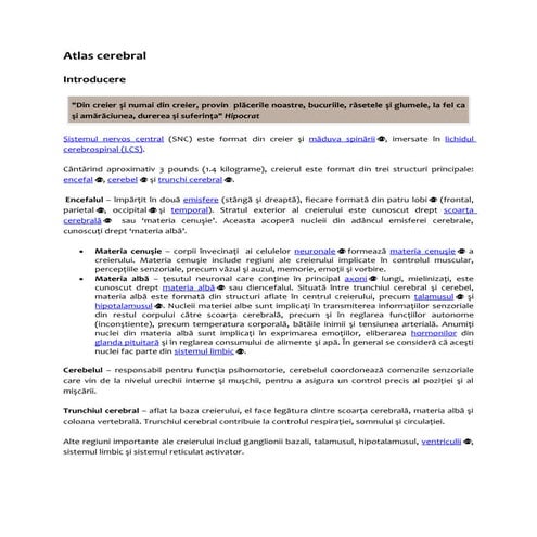 Atlas cerebral | PDF