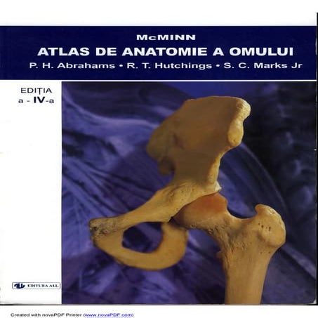 Atlas de anatomie | PDF
