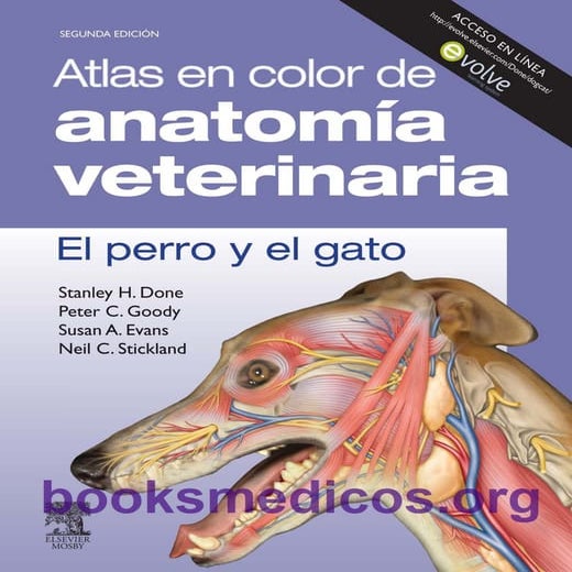 Atlas en color de anatomia veterinaria. El perro y del gato ...