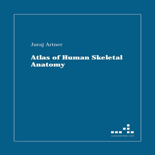 Atlas of human skeletal | PDF