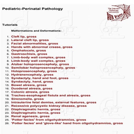 Atlas pediatric perinatal pathology | PDF