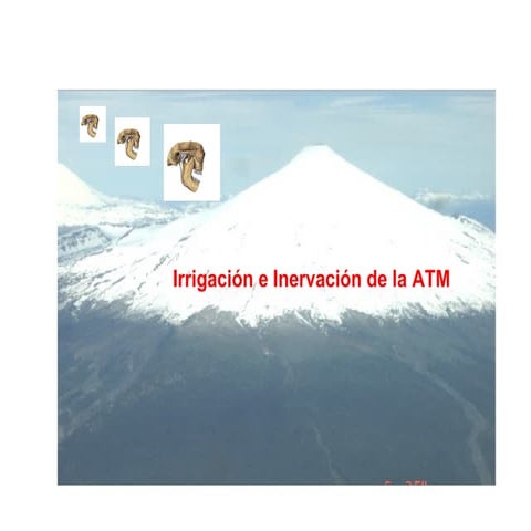 Irrigacion e Inervacion de la articulación mandibular | PPTX