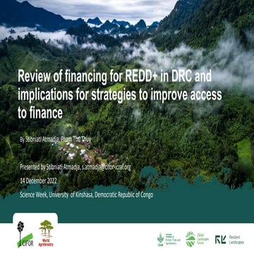 Review of financing for REDD+ in DRC and implications for strategies to ...