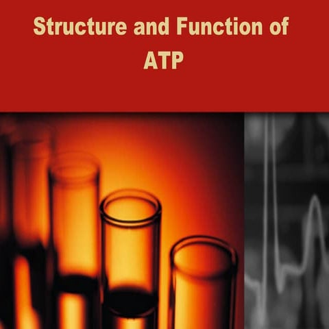 ATP | PPT