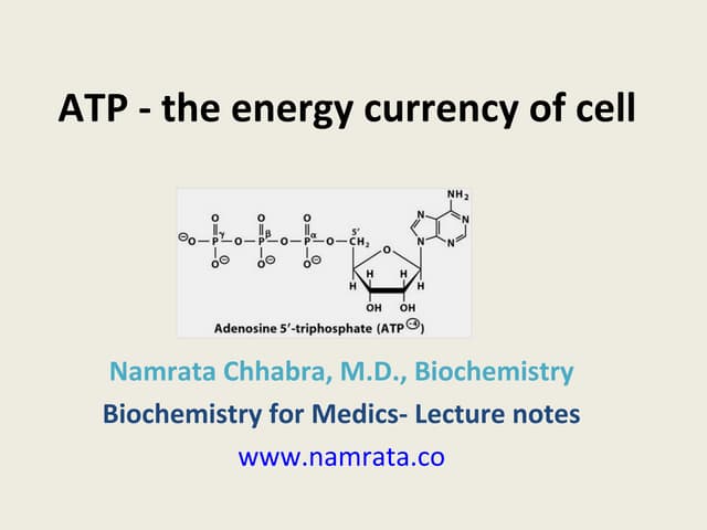 Photosynthesis 5 the light dependent reaction | PPTX