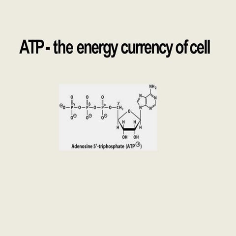 ATP.pptx