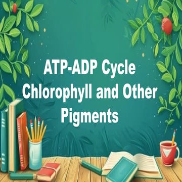 ATP Cycle Chlorophyll and Other Pigments.pptx