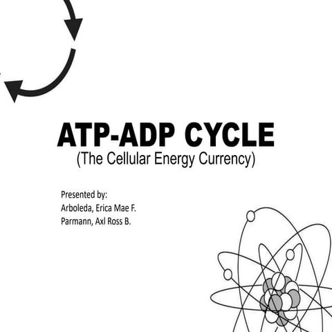 Atp Adp Cycle Pptx Free Download