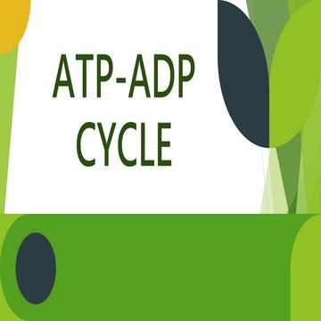 ATP DPP CYCLEfxbhdbfckmmbngngngbggggggggg | PPTX