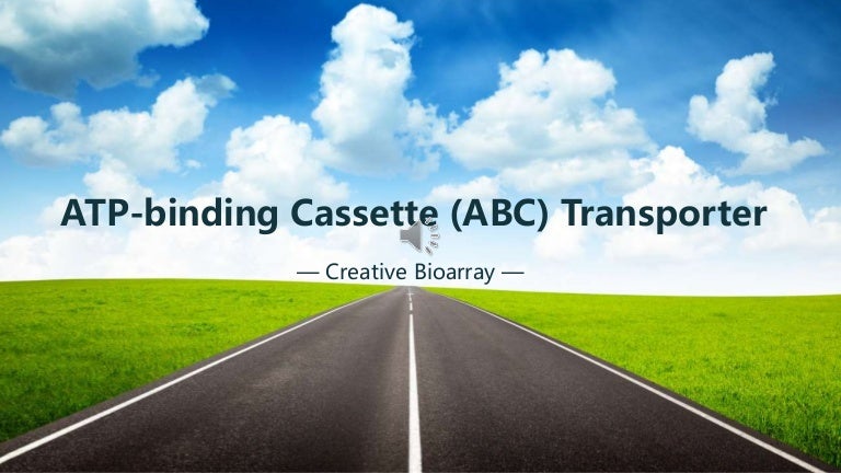 Atp Binding Cassette Abc Transporter