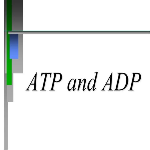 ATP and ADP.pptx